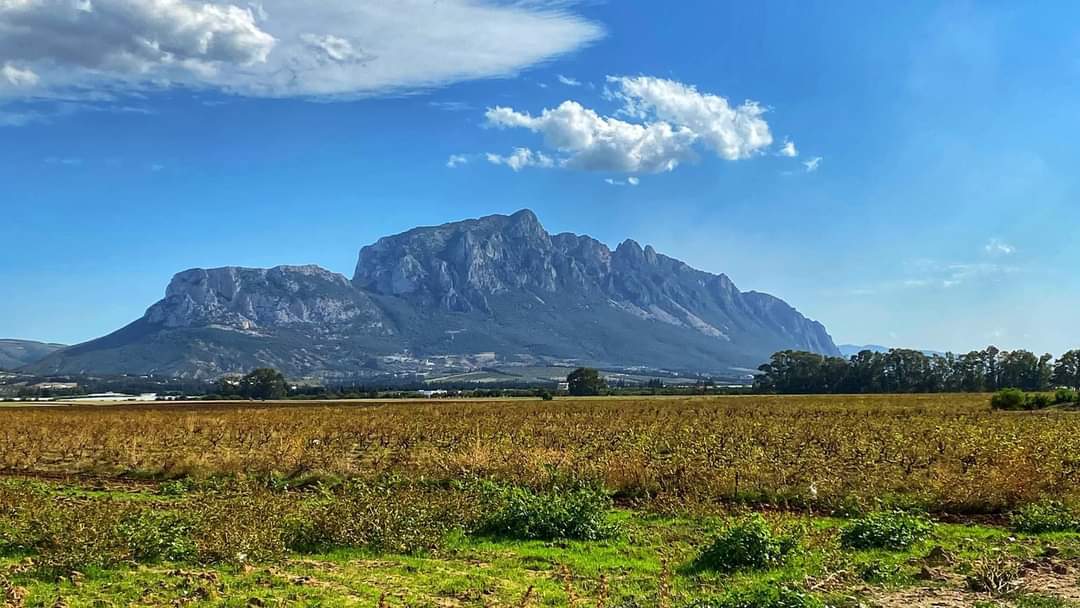 Sommet Djebel Ressas - Idwey