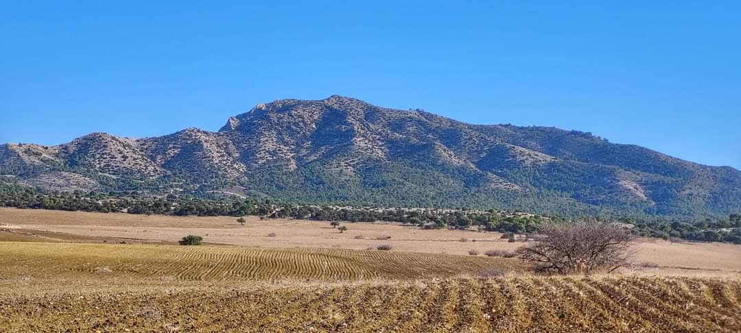 Randonnée au Parc National de Djebel Zaghdoud - Idwey